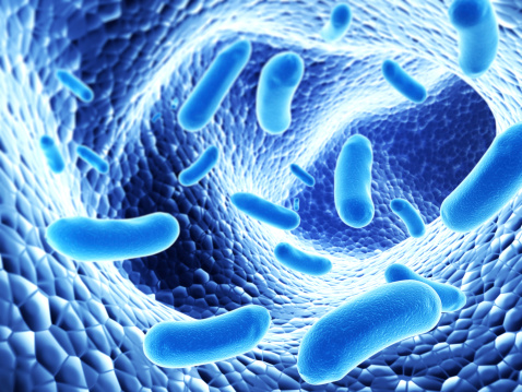 Il ruolo della flora batterica intestinale nella sclerosi...